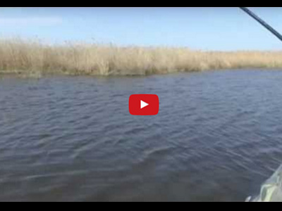 Ловля на раскатах на воблеры и попперы Garry Angler | Mosbaza.ru
